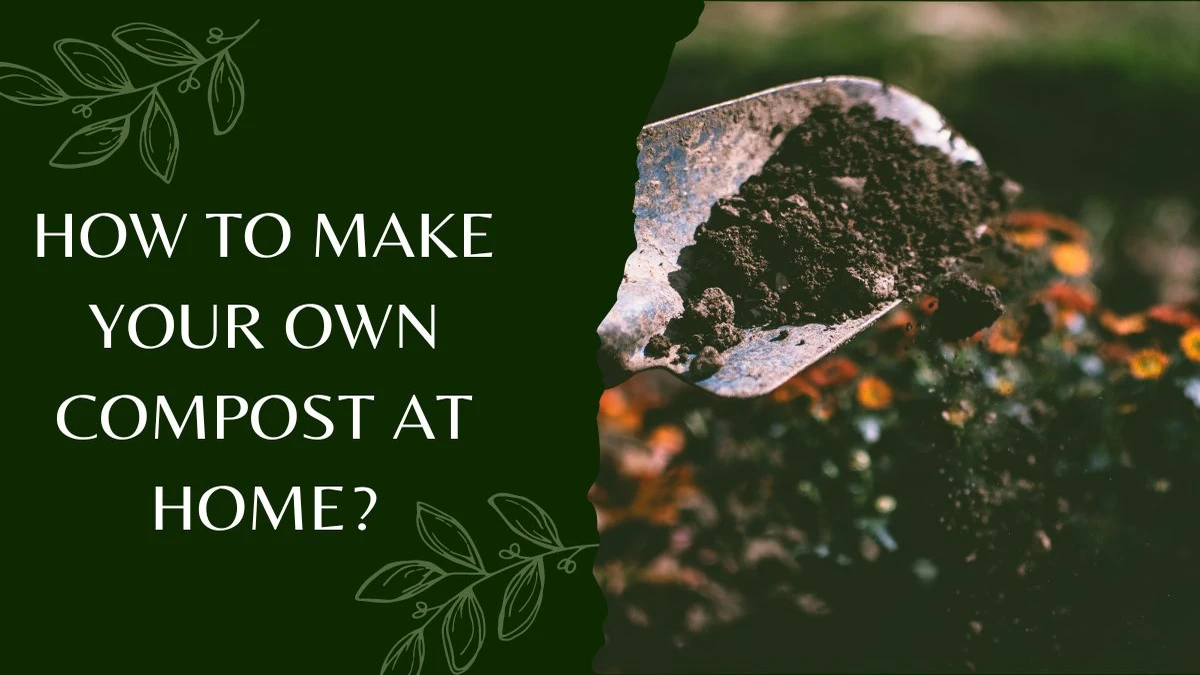 How to Make Your own Compost at Home?