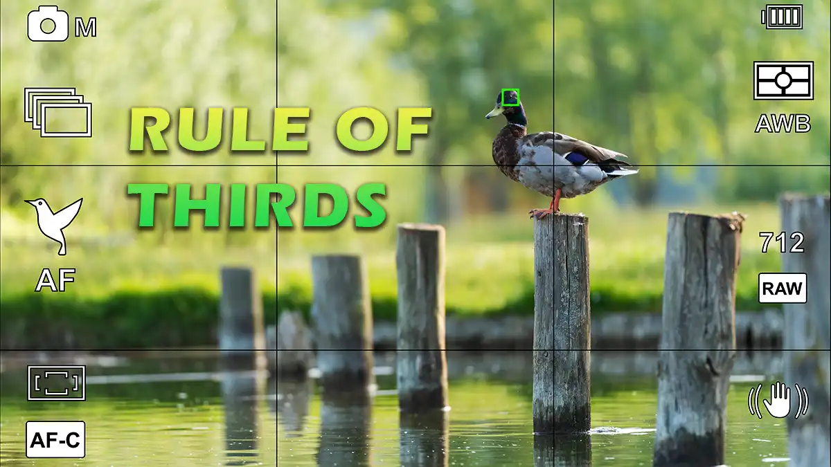 Rule of Thirds: The Art of Perfectly Balanced Photo